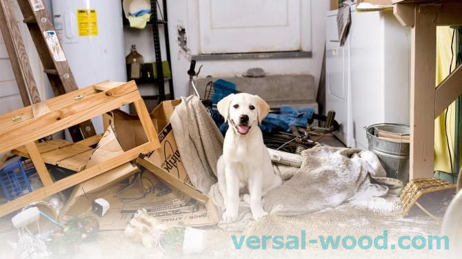 Dimenzije kabine Labradora|Ideje za vaš dom-2026