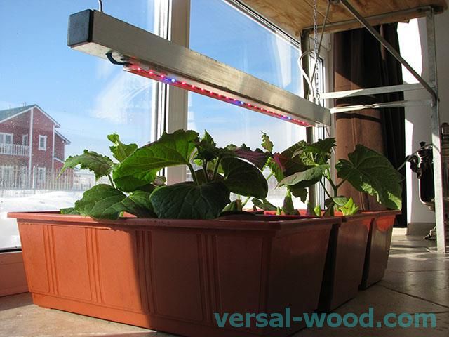 Staklenik na balkonu|Ideje za vaš dom-2025