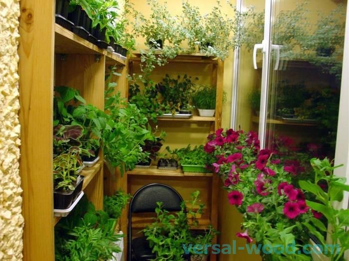 Staklenik na balkonu|Ideje za vaš dom-2025