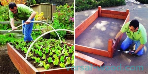 Kako napraviti staklenik u zemlji za sadnice, krastavce napraviti sami ...