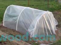 Kako napraviti staklenik u zemlji za sadnice, krastavce uradite sami ...