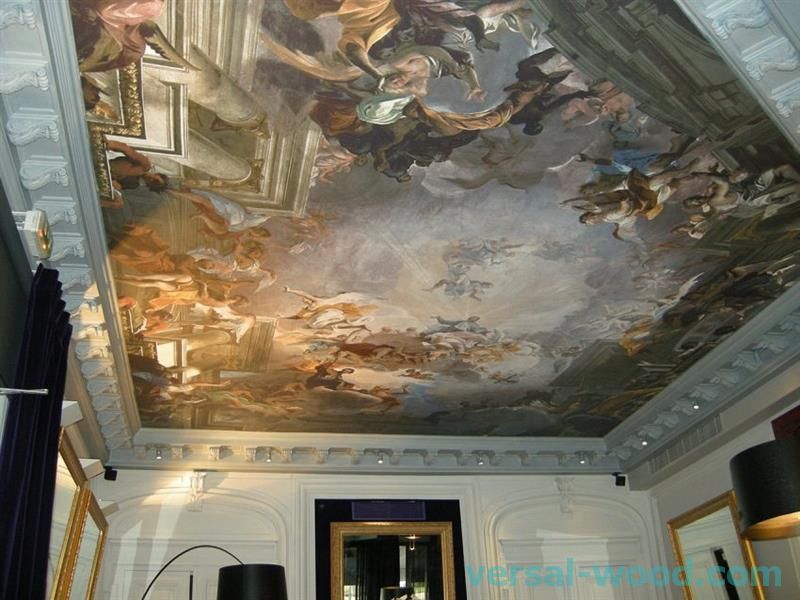 Ugradnja spuštenih stropova na dvije razine za dvoranu: fotografije i ...