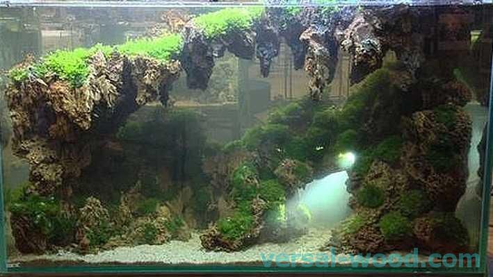 Florarium to napravite sami - detaljna uputstva za početnike|Ideje za ...