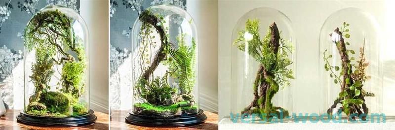 Florarium to napravite sami - detaljna uputstva za početnike|Ideje za ...