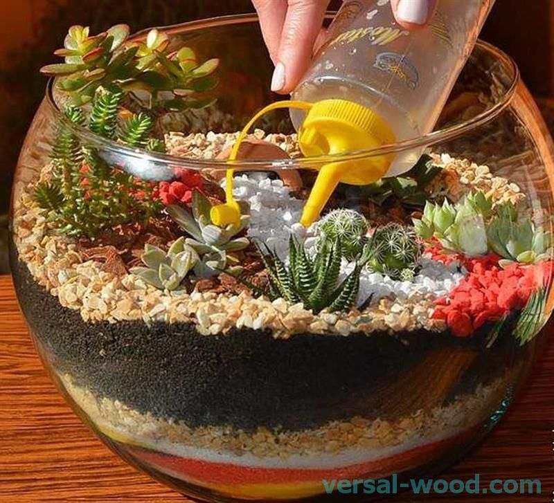 Florarium to napravite sami - detaljna uputstva za početnike|Ideje za ...