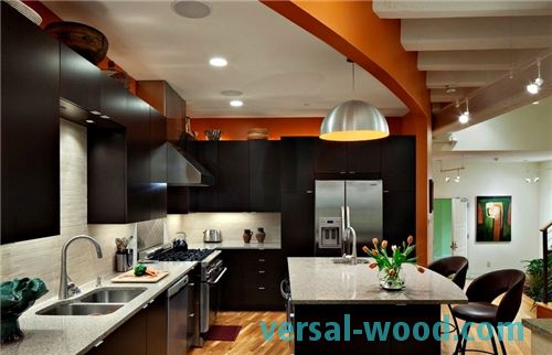 Rasvjeta u kuhinji: glavni aspekt skladnog dizajna|Ideje za vaš dom-2025