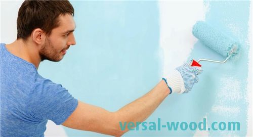 Stenske barve v stanovanju: lastnosti, vrste in značilnosti kompozicij ...