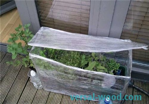 Učinite sami staklenik od rastezljive folije: video, kako napraviti ...