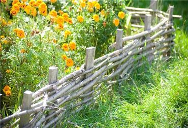 Ukrasna ograda za ljetnu rezidenciju: kreativan dizajn cvjetnih gredica ...